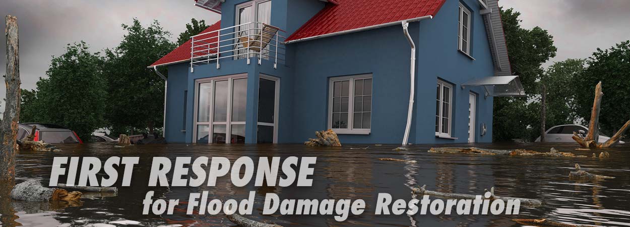 First Response Fire and Water