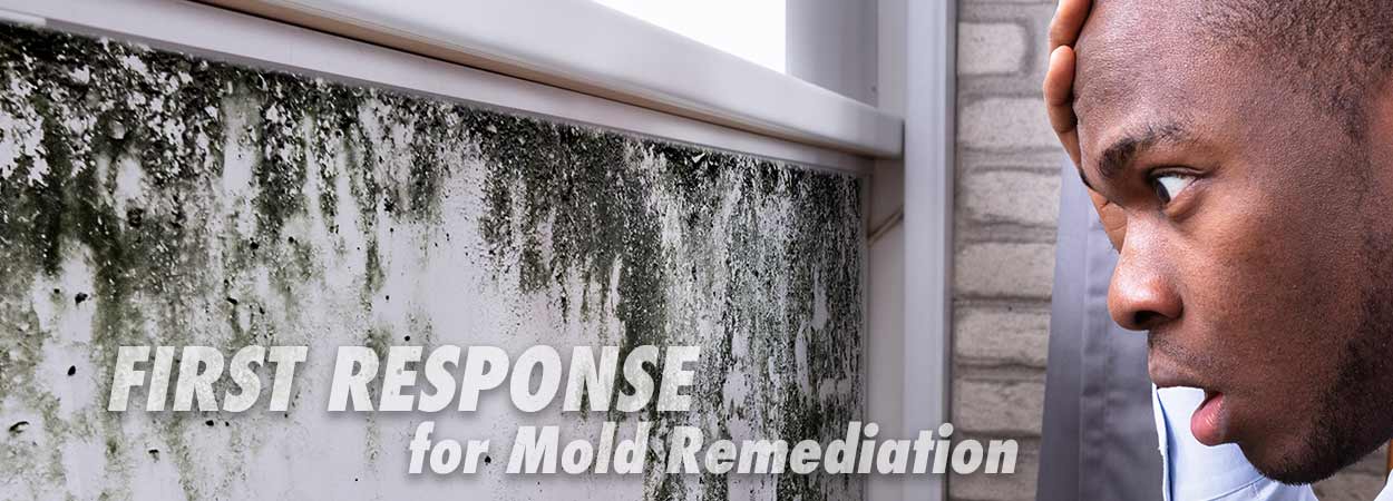 First Response Fire and Water