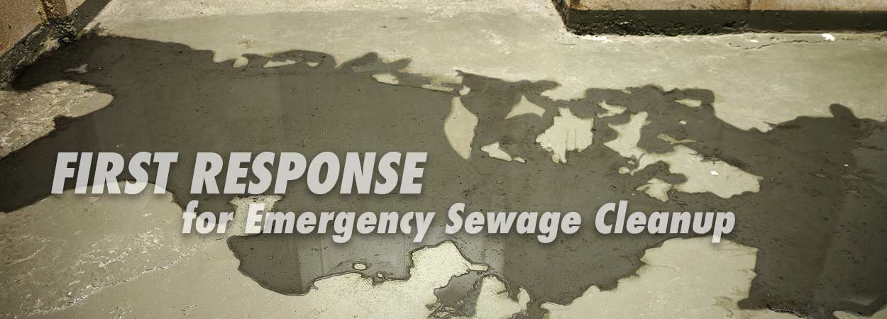 First Response Fire and Water